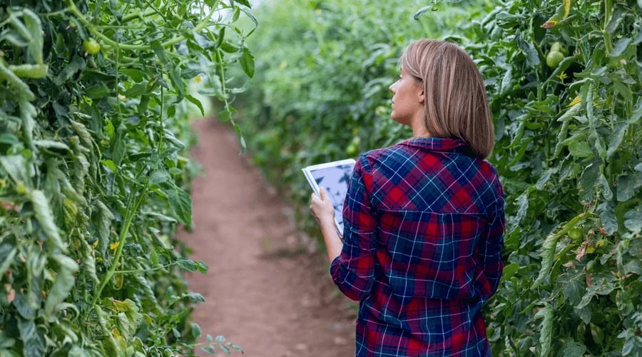 Agricultura digital: 7 tendencias de la agricultura vanguardista